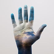 Tait Enable Management Tools | Network Status Monitor